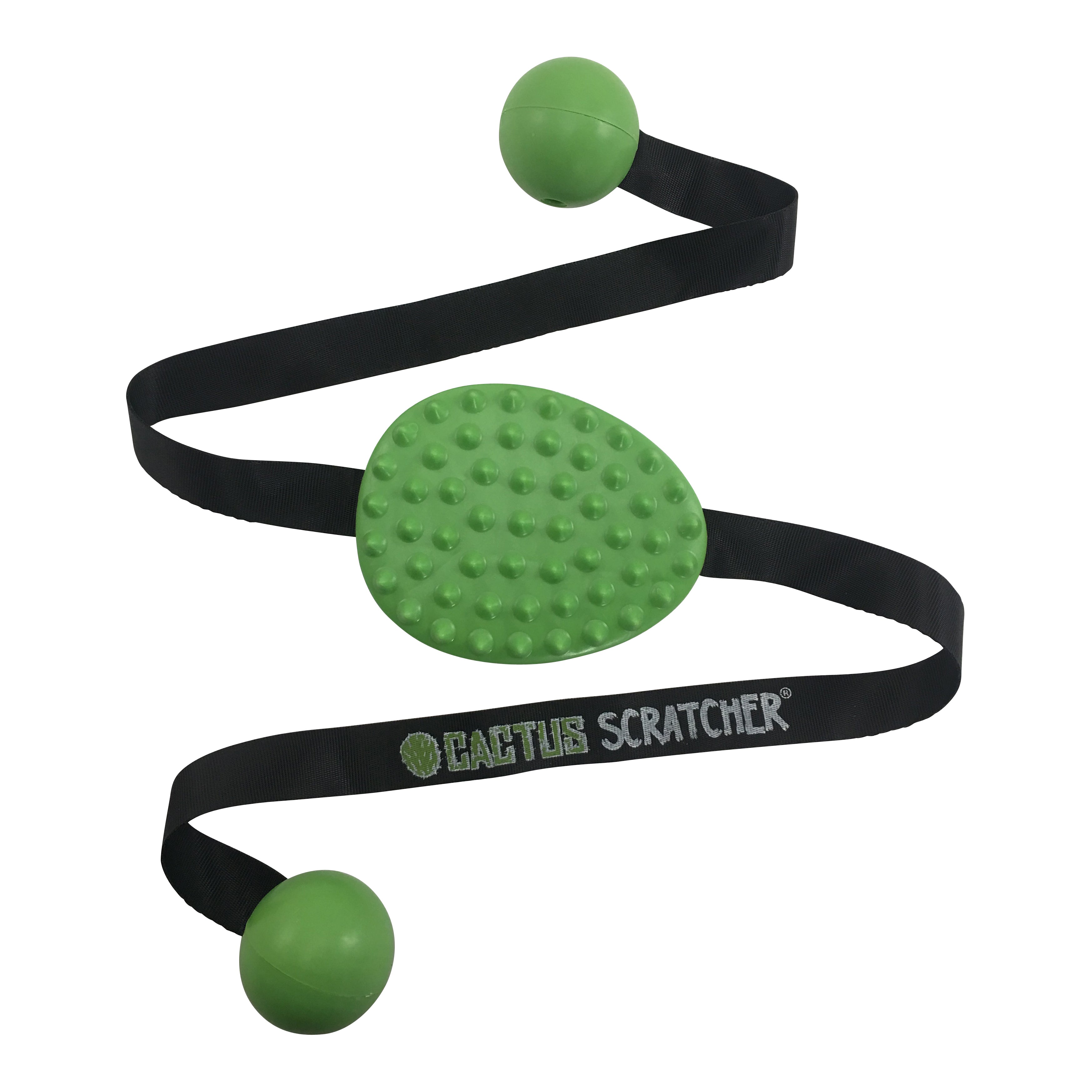 The Cactus Scratcher - Original Cactus Back Scratcher, Aggressive and ...